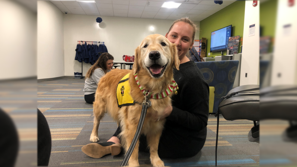 Therapy Dogs help students manage stress at a Lancaster County college ...