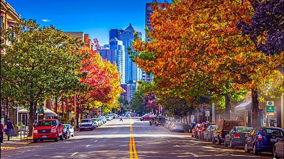 Warm 'blob', 'Bruce Lee El Niño" to keep Seattle warm through fall of ...