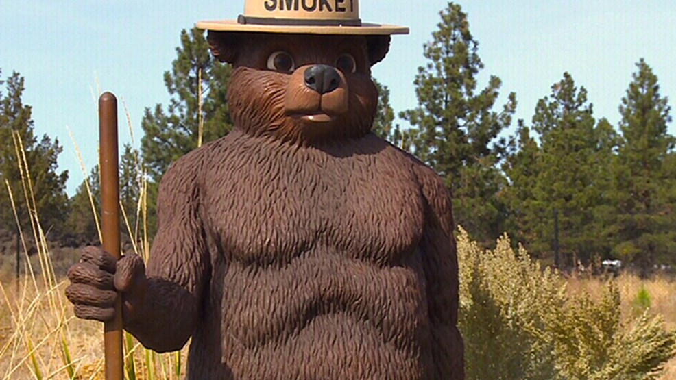 Smokey Bear turns 73 years old | WLOS