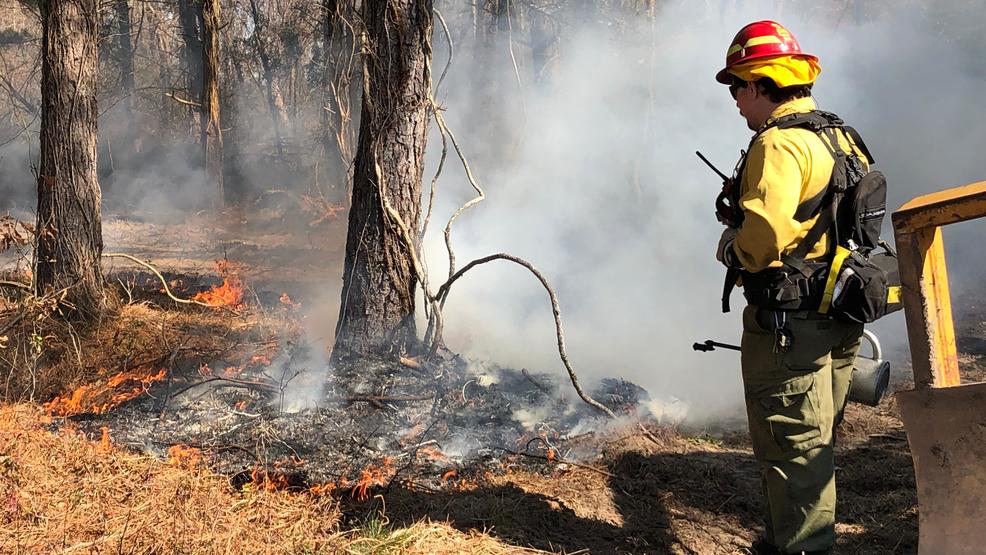 ABC15 News Special Report: Wildfires in South Carolina | WPDE