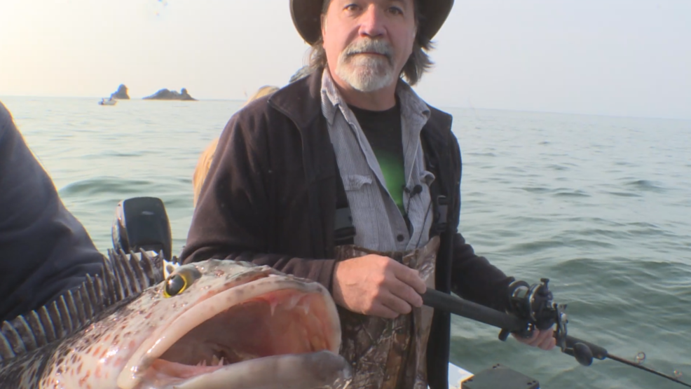Oregon Outdoors: spawning Lingcod on the coast | KTVL