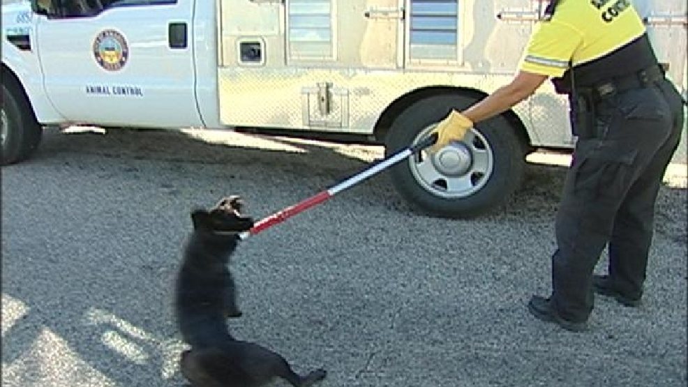 Pronews 7 Investigates: Fact checking Amarillo's claims of progress at ...